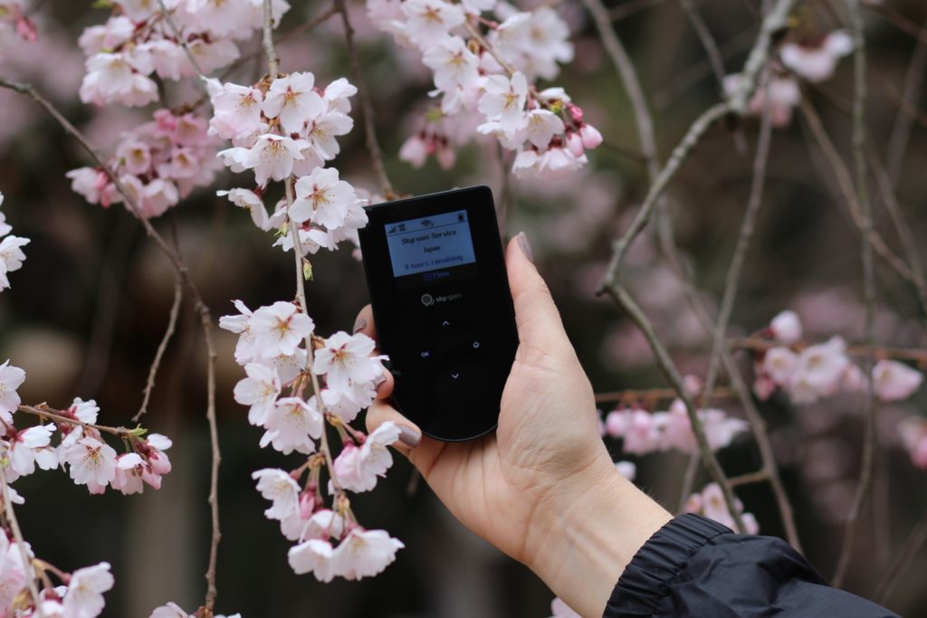 Staying Connected While Abroad | Portable Wifi Device Review | Travel ...